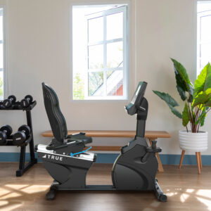 Performance Series Recumbent Bike - TRUE Fitness - Home Fitness Equipment